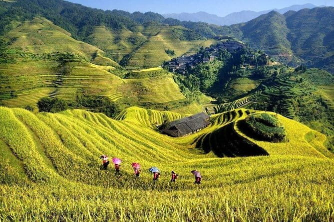 Longji Rice Terraces Field Private Full Day Tour - Final Thoughts