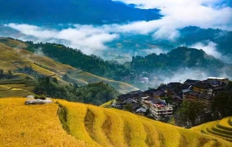 Longji Rice Terraces Flex Tour | Free Explore or Wide View - Unlocking the Charm of the Longji Rice Terraces with a Flexible Tour