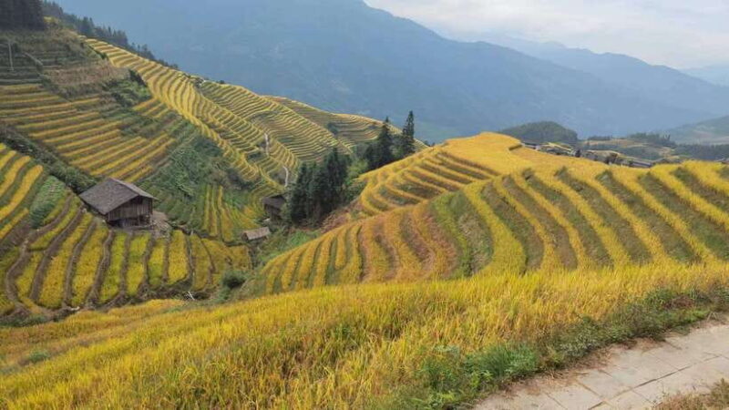 Longji Rice Terraces: Full-Day Private Tour from Guilin - The Sum Up