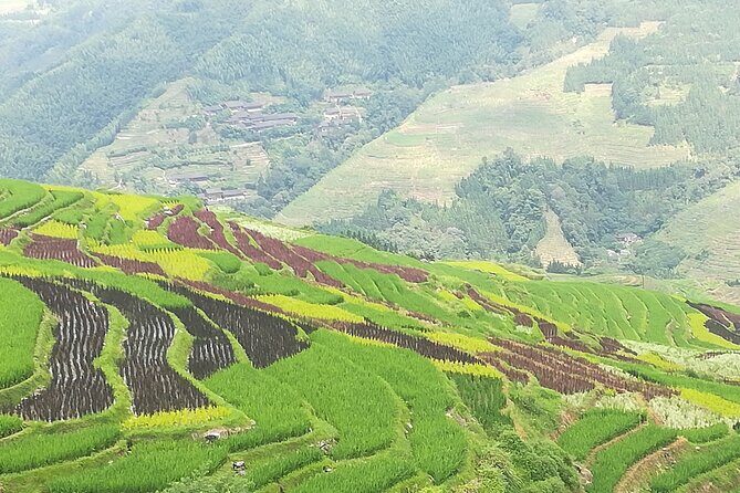 Longji Rice Terraces Hiking Tour Full Day Adventure - Detailed Overview of the Tour