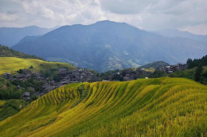 Longji Rice Terraces Hiking Tour Full Day Adventure - Transport and Price Value