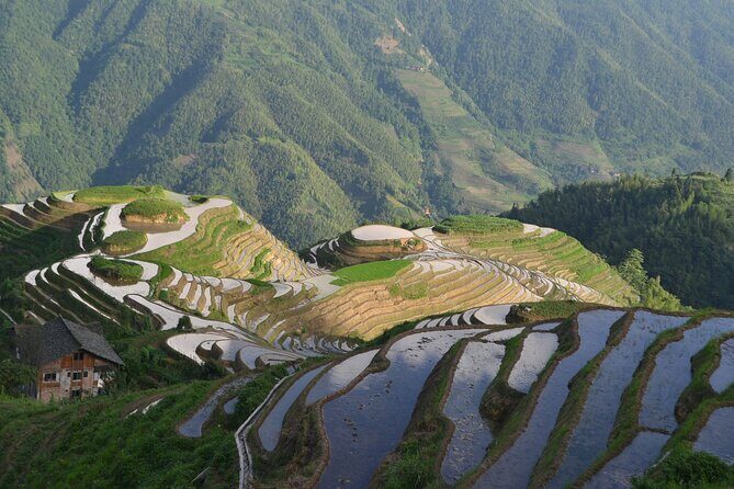 Longji Rice Terraces Hiking Tour Full Day Adventure - Final Thoughts
