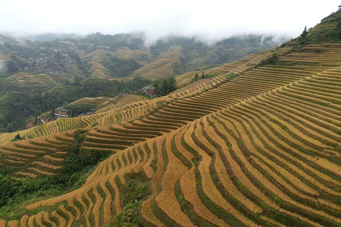 Longji Rice Terraces with the Dazhai Cable Car Private Day Tour - A Complete Look at the Longji Rice Terraces with Dazhai Cable Car Private Day Tour
