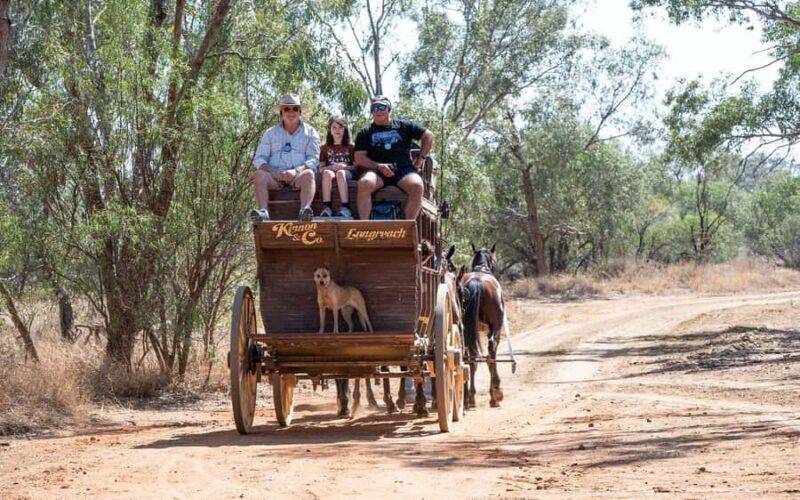 Longreach: Ride on a historic stagecoach on a bush track - Key Points