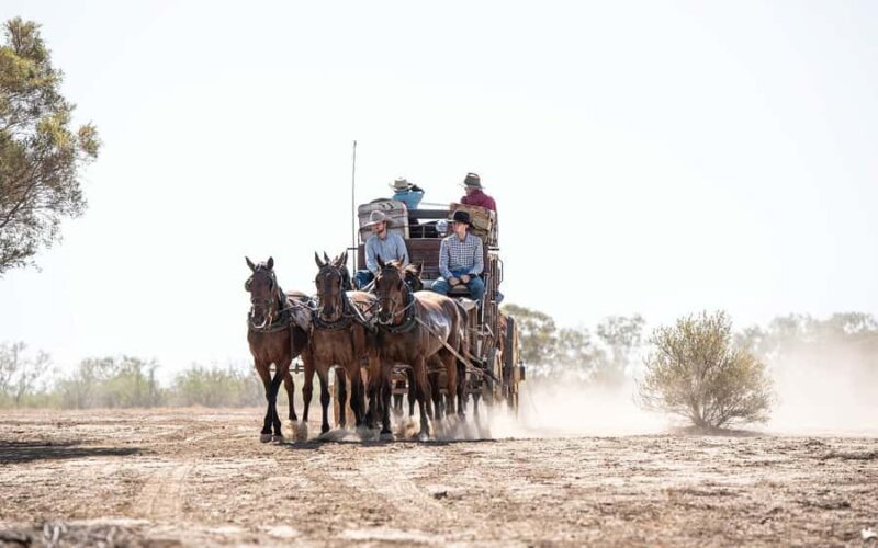 Longreach: Ride on a historic stagecoach on a bush track - What to Expect: A detailed look at the day