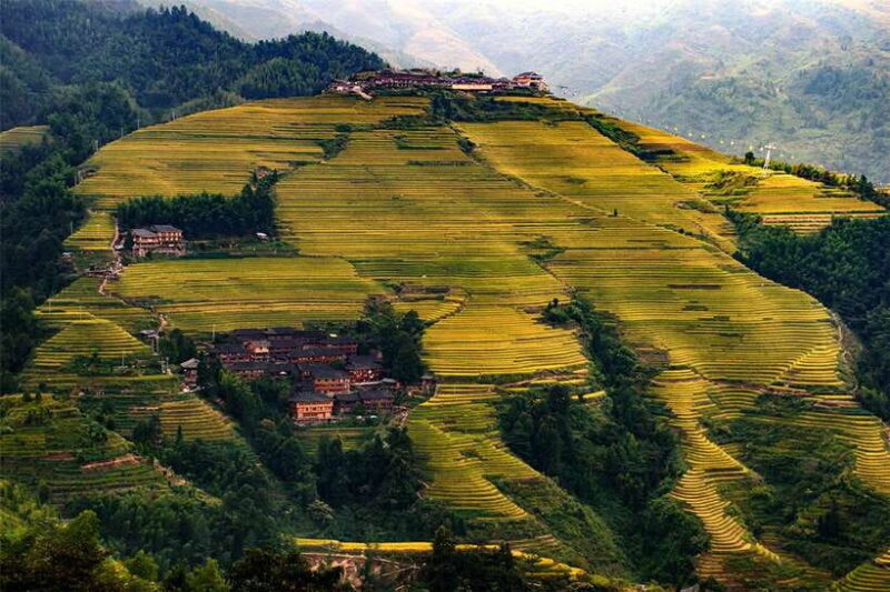 Longsheng Ethnic Minority & Rice Terraces Full-Day Tour - A Closer Look at the Experience