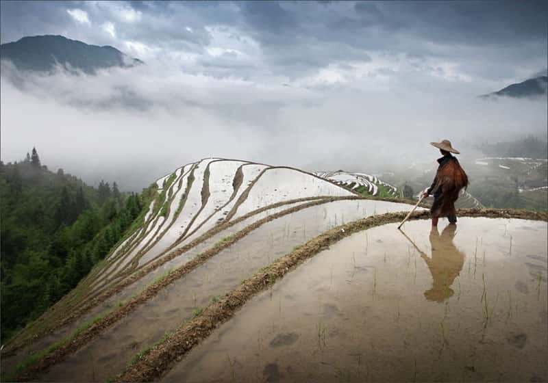 Longsheng Ethnic Minority & Rice Terraces Full-Day Tour - Authentic Experiences and Traveler Feedback