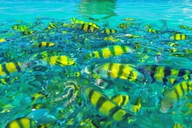 Longtail boat: Krabi 7 Islands Sunset tour Snorkeling - Final Thoughts: Is It Right for You?