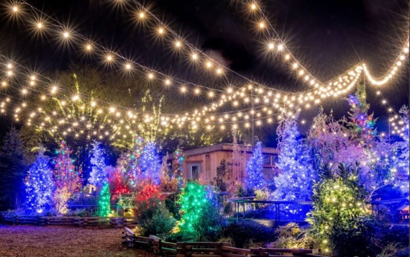 Longwood Gardens Holiday Lights Tour from Philadelphia - Key Points