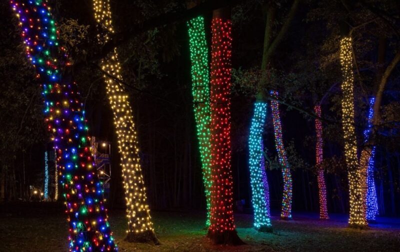 Longwood Gardens Holiday Lights Tour from Philadelphia - An In-Depth Look at the Experience