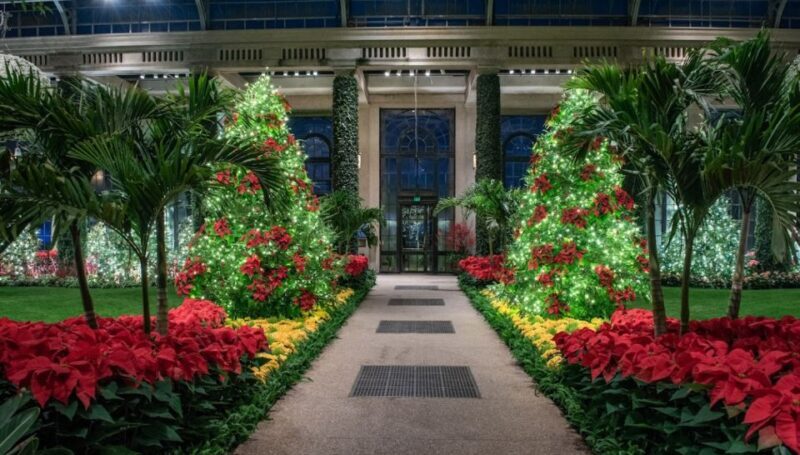 Longwood Gardens Holiday Lights Tour from Philadelphia - The Sum Up