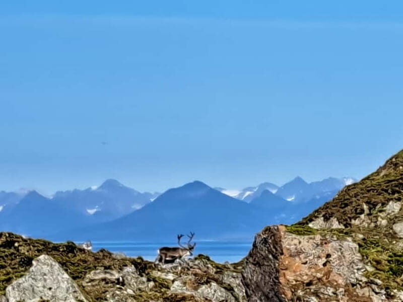 Longyearbyen: 10-Day Spitsbergen Cruise on Havella Boat - Key Points