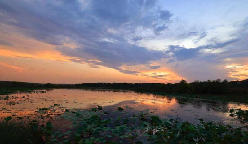 LookAbout Darwin Wetlands Wildlife Premium Tour Max 6 Guests - Frequently Asked Questions