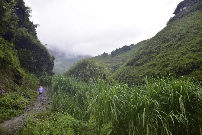 Loop The Ribboning Path Cut Into Mountainside - Exploring the Ribboning Path: A Vietnam Adventure Beyond the Ordinary