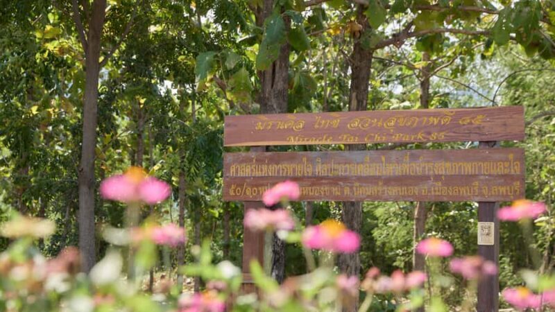 Lopburi: 2-Day Miracle Tai Chi Retreat - Why You Might Choose This Retreat