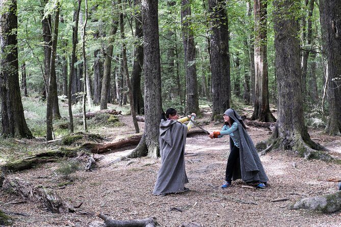 Lord of the Rings Scenic Tour - Glenorchy (half day) - Transport, Group Size, and Price — What’s the Value?