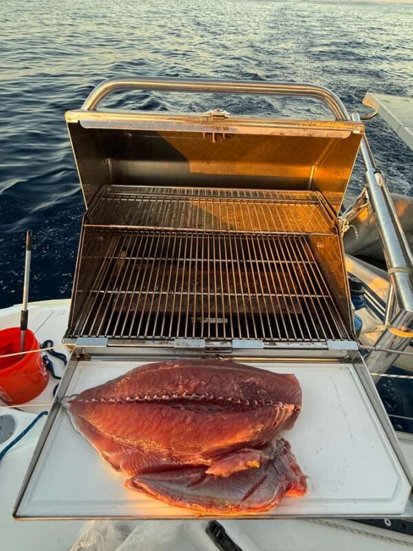 Loreto, Baja California, Mexico - Catamaran Sailing Cruise - The Experience of a Lifetime