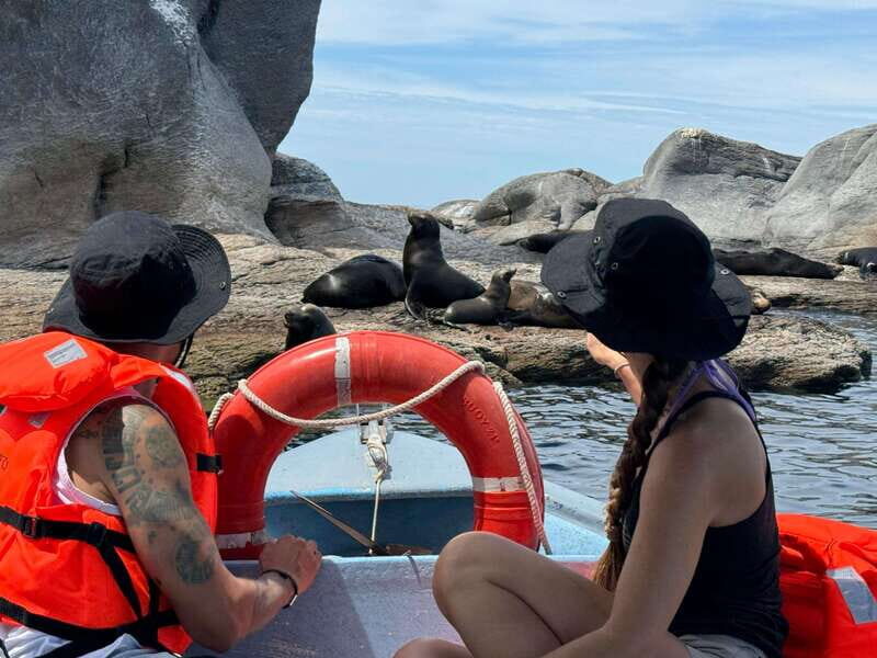 Loreto: Speedboat Tour with Swimming, Snorkeling and Picnic - Practical Details and Value