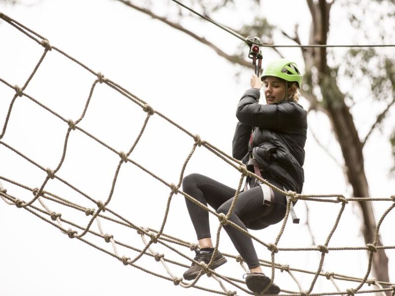 Lorne: Live Wire Park Super Circuit Ticket - A Closer Look at the Live Wire Park Experience