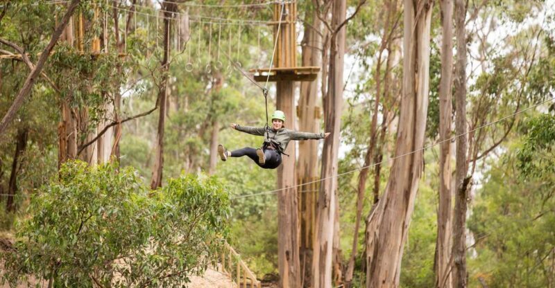 Lorne: Live Wire Park Super Circuit Ticket - Final Thoughts: Is It Worth It?