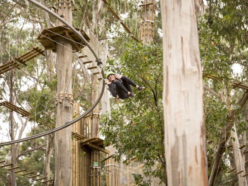 Lorne: Live Wire Park Ticket with Zip Line Rollercoaster - Lorne: Live Wire Park Ticket with Zip Line Rollercoaster – An Authentic Tree-Top Adventure