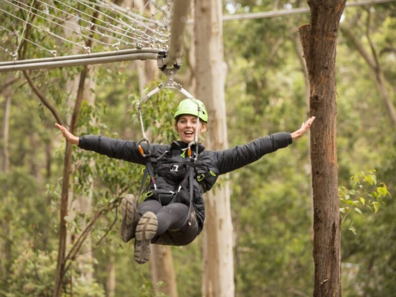 Lorne: Live Wire Park Ticket with Zip Line Rollercoaster - What to Expect from Your Visit