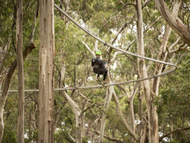 Lorne: Live Wire Park Ticket with Zip Line Rollercoaster - Breakdown of the Experience