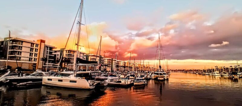 Los Angeles #1: Luxury Boat Cruise-Wine, Cheese & Sea Lions - An In-Depth Look at the Experience