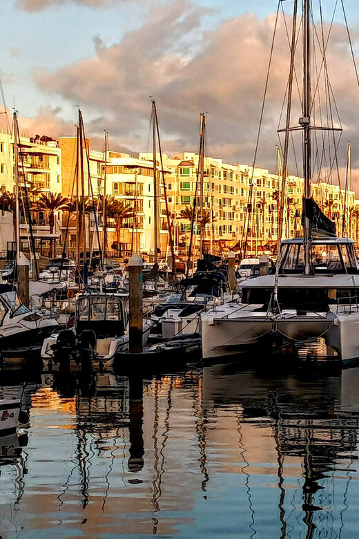 Los Angeles #1: Luxury Boat Cruise-Wine, Cheese & Sea Lions - The Sum Up