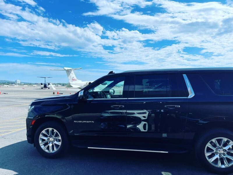 Los Angeles: 1-Way Private Transfer from LAX to Disneyland - A Practical, Comfortable Solution for Your Disneyland Arrival: Private Transfer from LAX