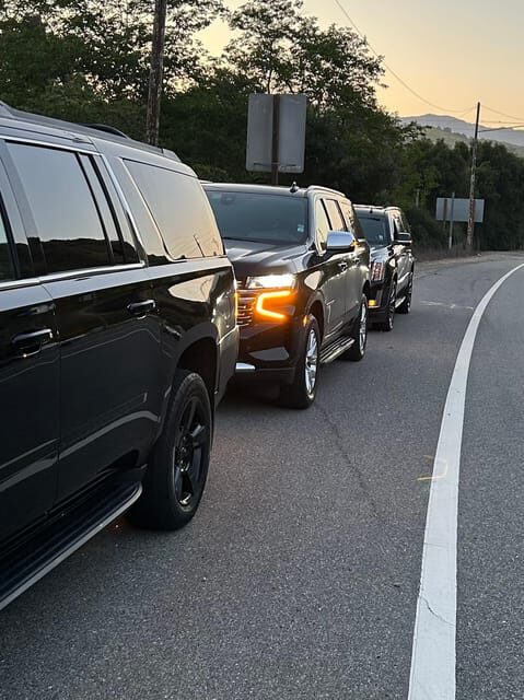 Los Angeles: 1-Way Private Transfer from LAX to Disneyland - What to Expect During Your Transfer