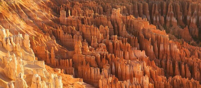 Los Angeles: 10-Day Yellowstone National Park Round Tour - FAQ