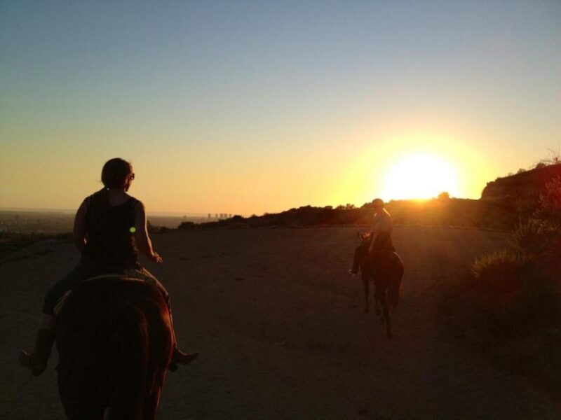 Los Angeles: 2-Hour Hollywood Trail Horseback Riding Tour - The Ride Itself: Pace, Comfort, and Experience