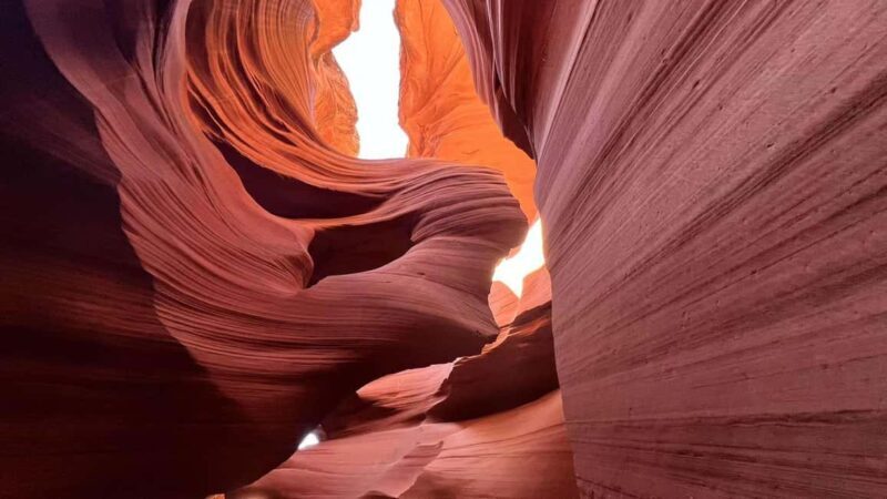 Los Angeles: 5-Day Southwest Guided Tour to Salt Lake City - Final Thoughts