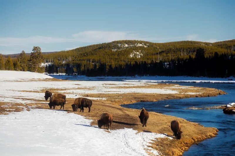 Los Angeles: 7-Day Small Group Yellowstone Tour Round Trip - Antelope Canyon and Horseshoe Bend: Navajo Wonders