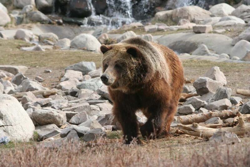 Los Angeles: 7-Day Small Group Yellowstone Tour Round Trip - The Final Day: Shopping and Return to Los Angeles