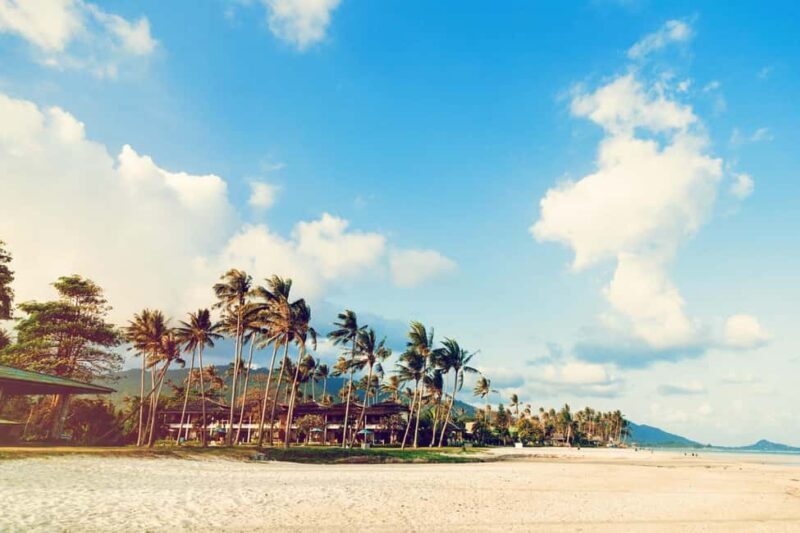 Los Angeles: 7-Hours City & Beach Tour With Hotel Pick Up - Authentic Experiences and Traveler Feedback