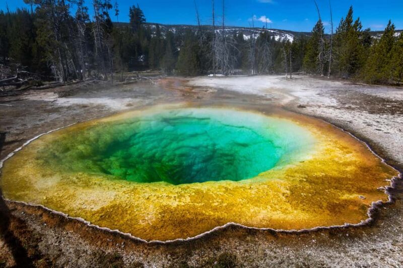 Los Angeles: 8-Day Antelope and Yellowstone Tour - The Travel Experience: Comfort and Logistics