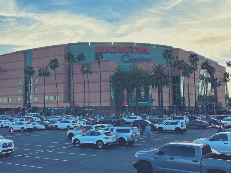 Los Angeles: Anaheim Ducks Ice Hockey Game Ticket - A Detailed Look at What You Can Expect