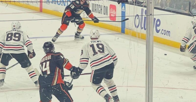 Los Angeles: Anaheim Ducks Ice Hockey Game Ticket - The Experience Provider