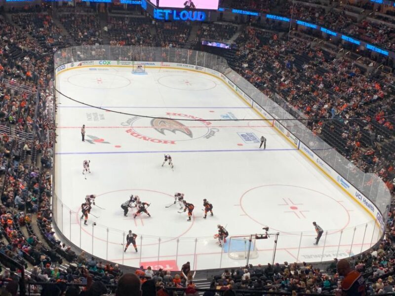 Los Angeles: Anaheim Ducks Ice Hockey Game Ticket - Final Thoughts: Is It Worth It?