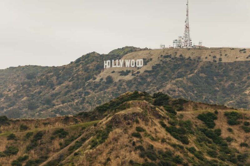 Los Angeles: Half-Day Best of LA Guided City Tour - The Guides & Guest Experience