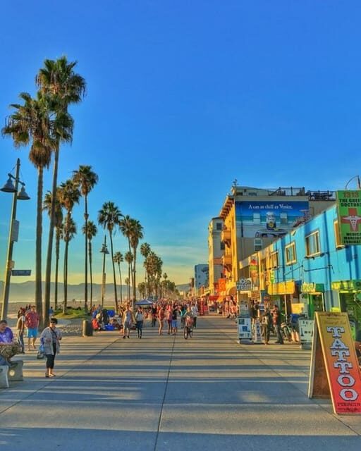 Los Angeles : Half-Day Private Car Tour With A Guide - Authentic Local Insights