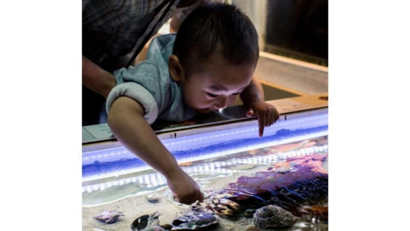 Los Angeles: Heal The Bay Aquarium in Santa Monica - Practical Tips for Visiting