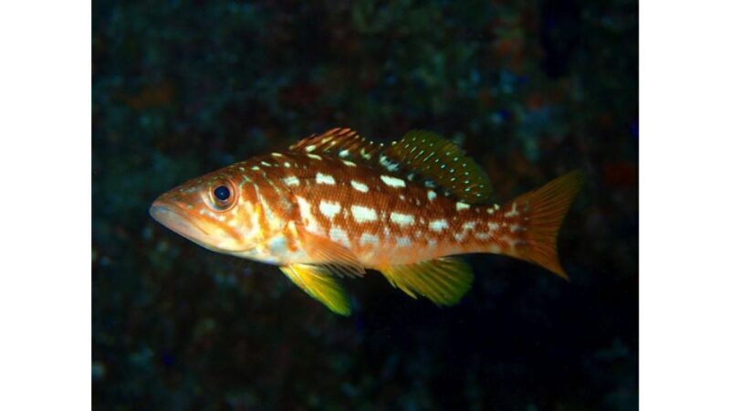 Los Angeles: Heal The Bay Aquarium in Santa Monica - Analyzing the Value