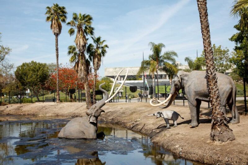Los Angeles: La Brea Tar Pits Museum Ticket - What Is the La Brea Tar Pits Museum Experience?