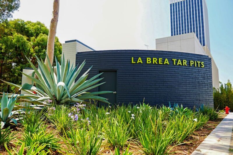 Los Angeles: La Brea Tar Pits Museum Ticket - Practical Details for Visitors