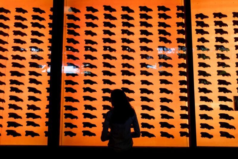 Los Angeles: La Brea Tar Pits Museum Ticket - Final Thoughts: Is It Worth Visiting?