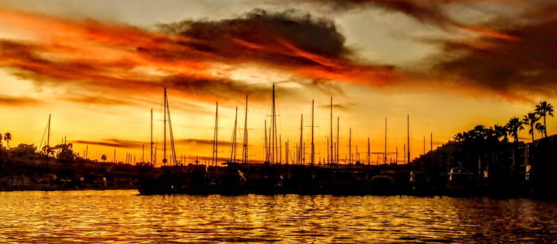 Los Angeles Luxury Cruise w/ Wine, Charcuterie & Sealions - Key Points