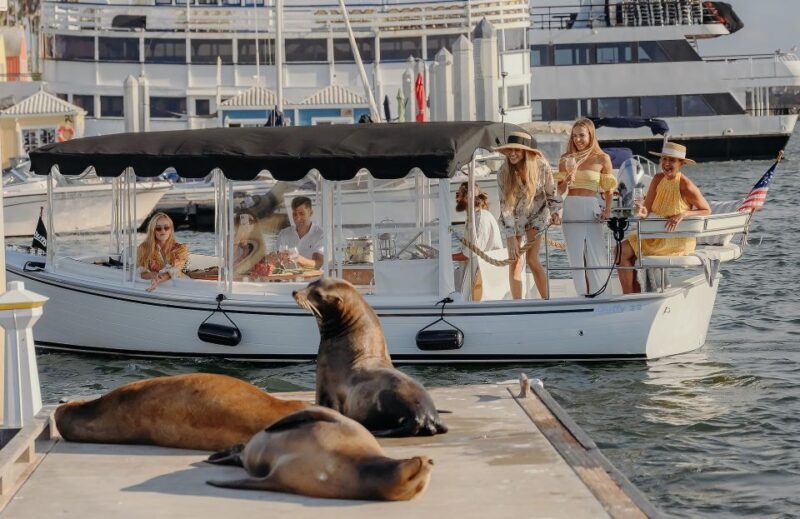 Los Angeles: Luxury Cruise with Wine, Cheese & Sea Lions - Who Should Consider This Tour?